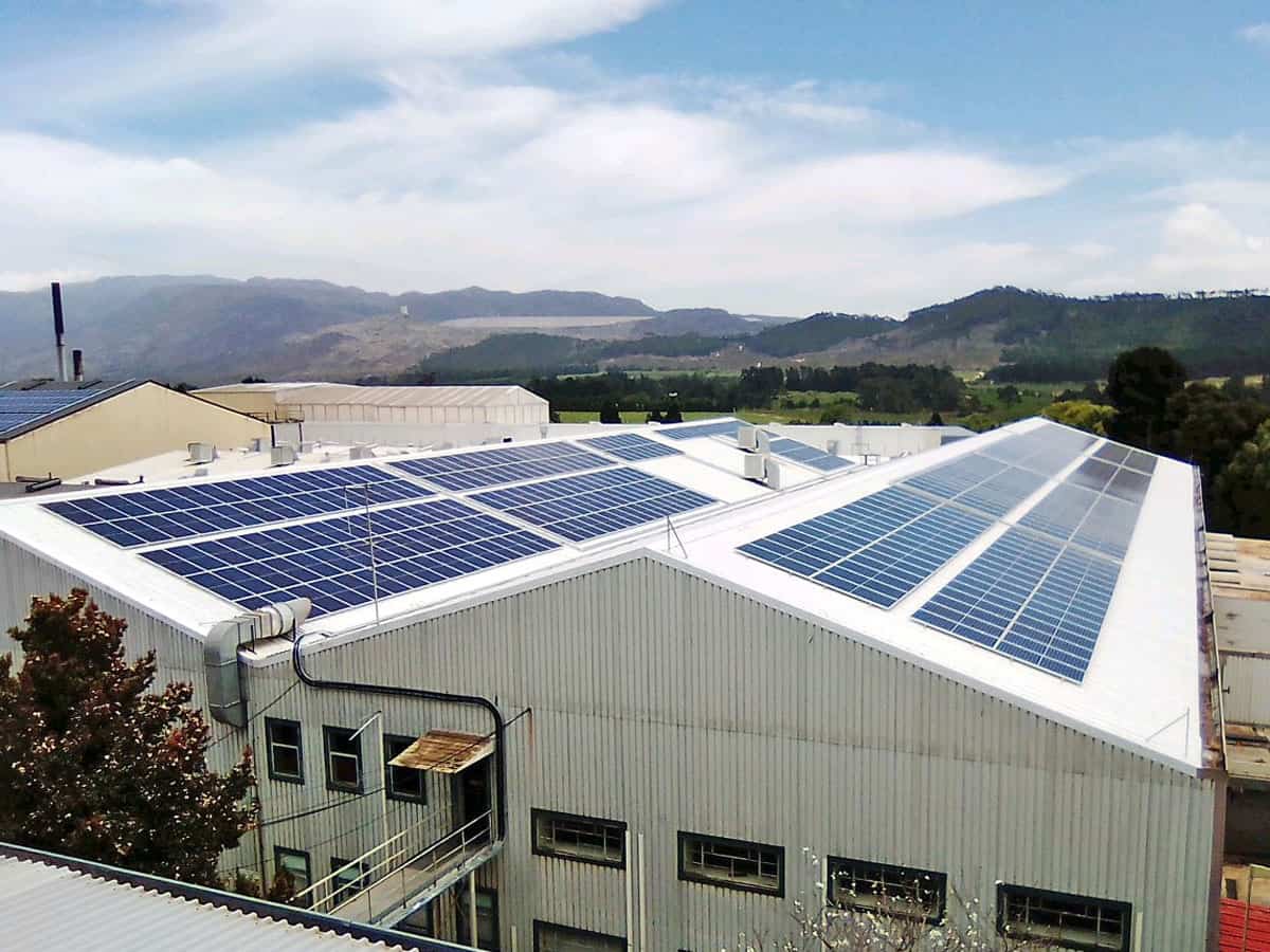 CCBSA Portfolio - NSE Africa